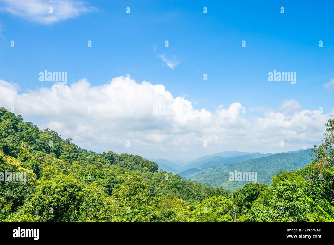 Canopy mountain hi-res stock photography and images - Alamy