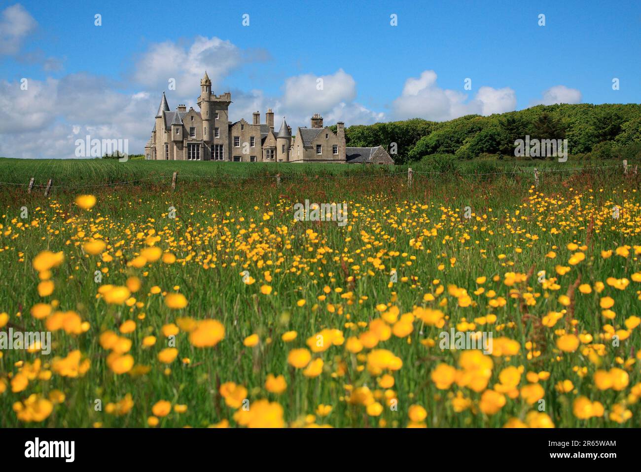 Victorian wildflowers hi-res stock photography and images - Alamy