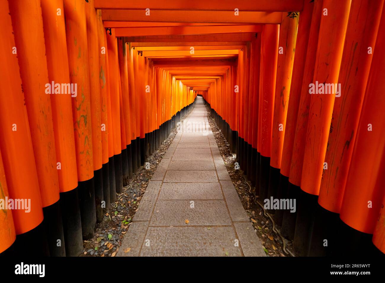 Thousand Torii corridor of Fushimi Inari-Taisha Stock Photo - Alamy