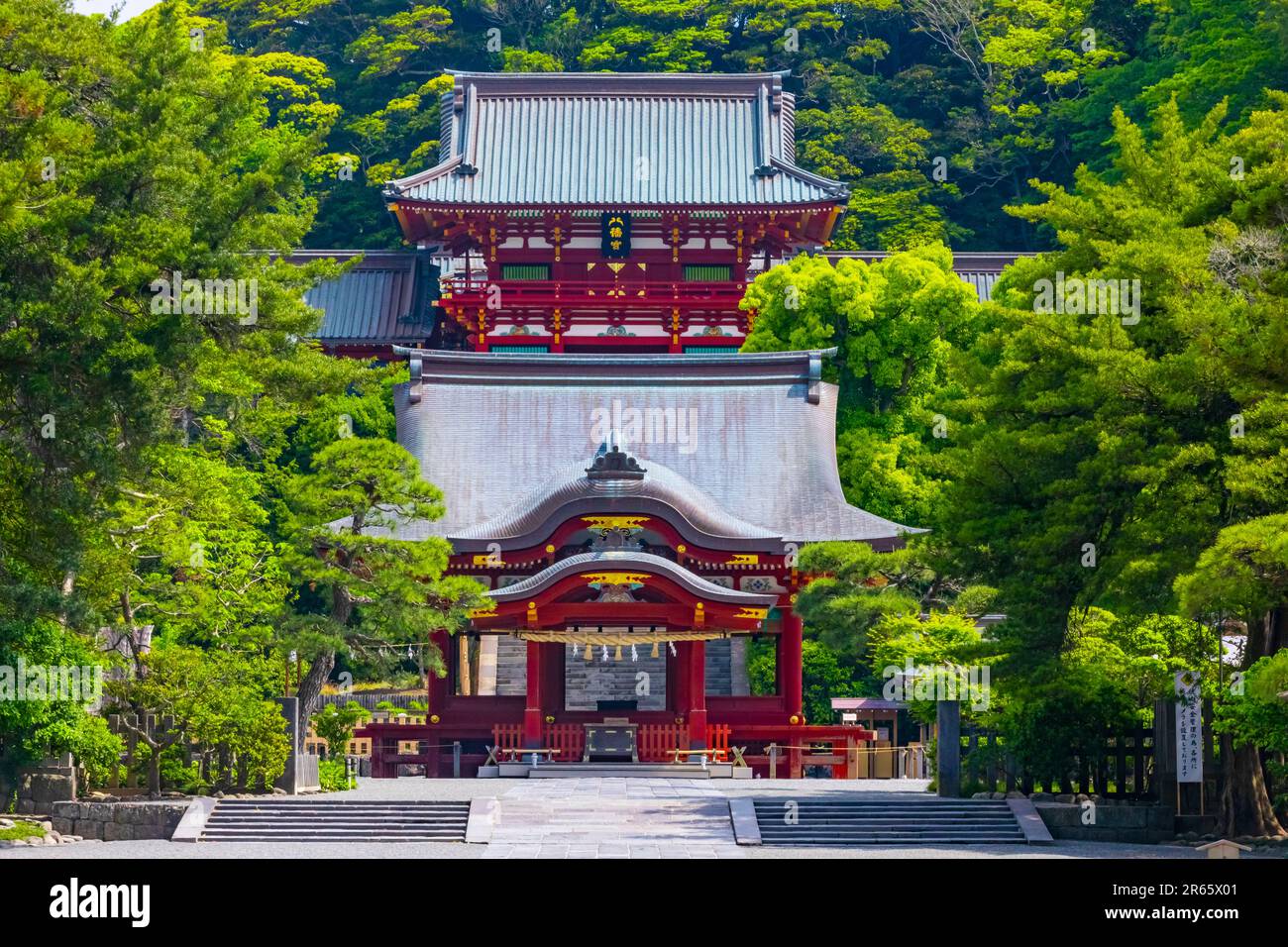 Tsurugaoka Hachimangu Shrine in fresh green Stock Photo - Alamy