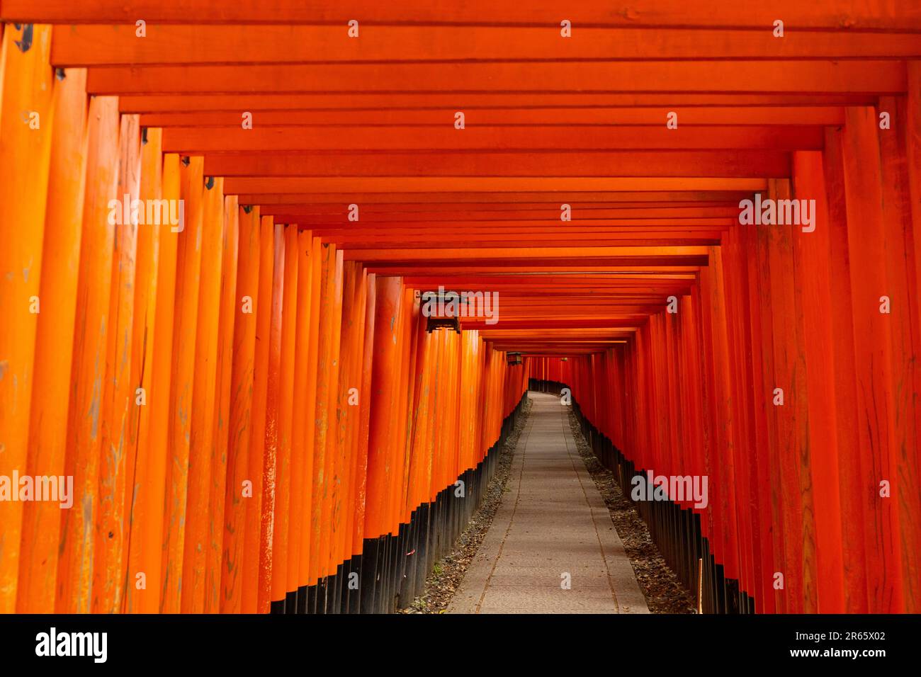 Thousand Torii corridor of Fushimi Inari-Taisha Stock Photo - Alamy