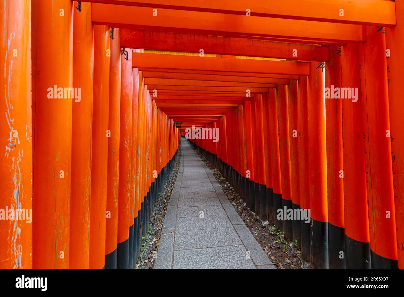 Thousand Torii corridor of Fushimi Inari-Taisha Stock Photo - Alamy