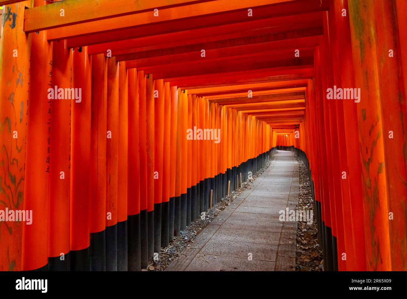 Thousand Torii corridor of Fushimi Inari-Taisha Stock Photo - Alamy