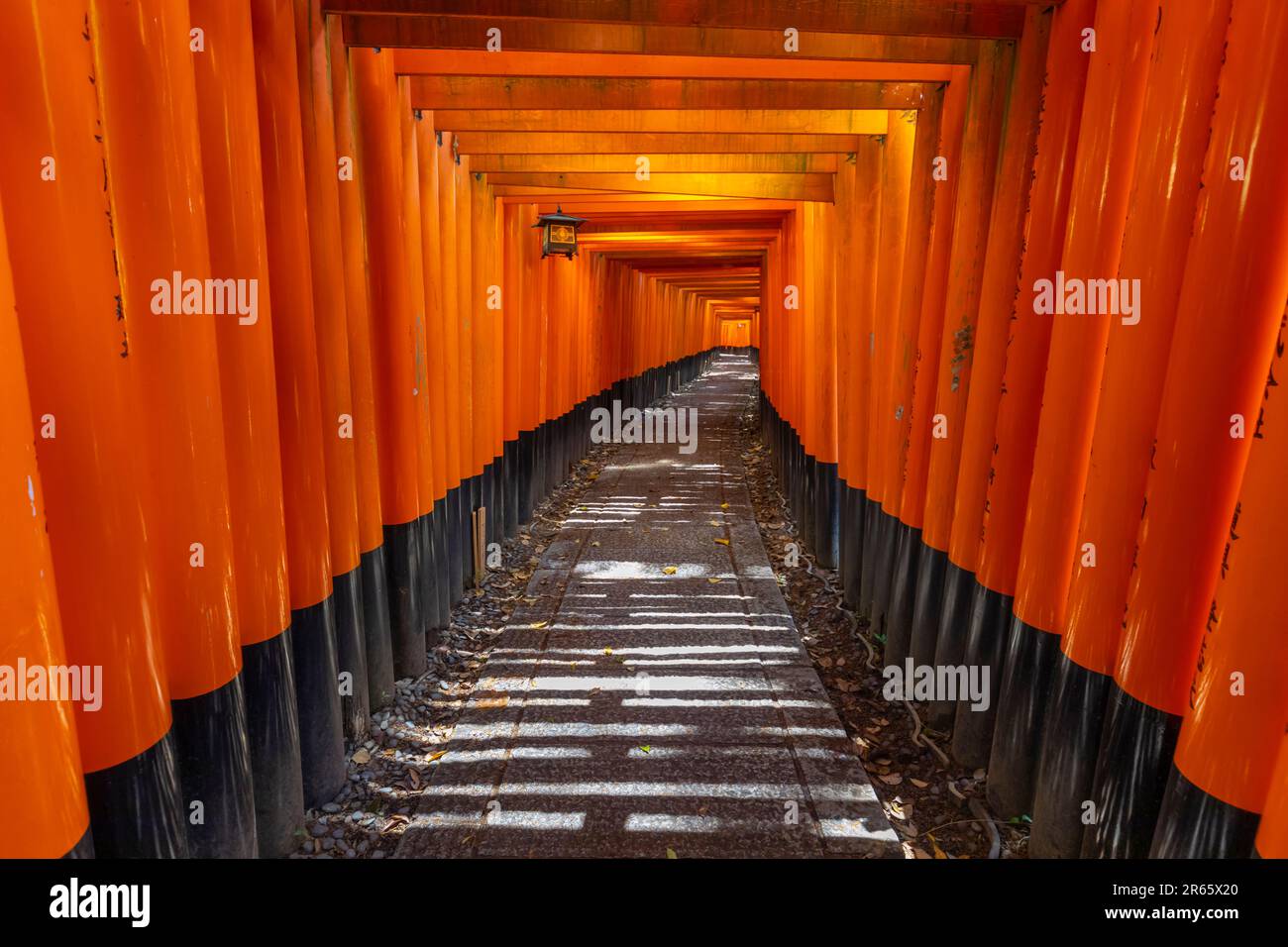 Thousand Torii corridor of Fushimi Inari-Taisha Stock Photo - Alamy