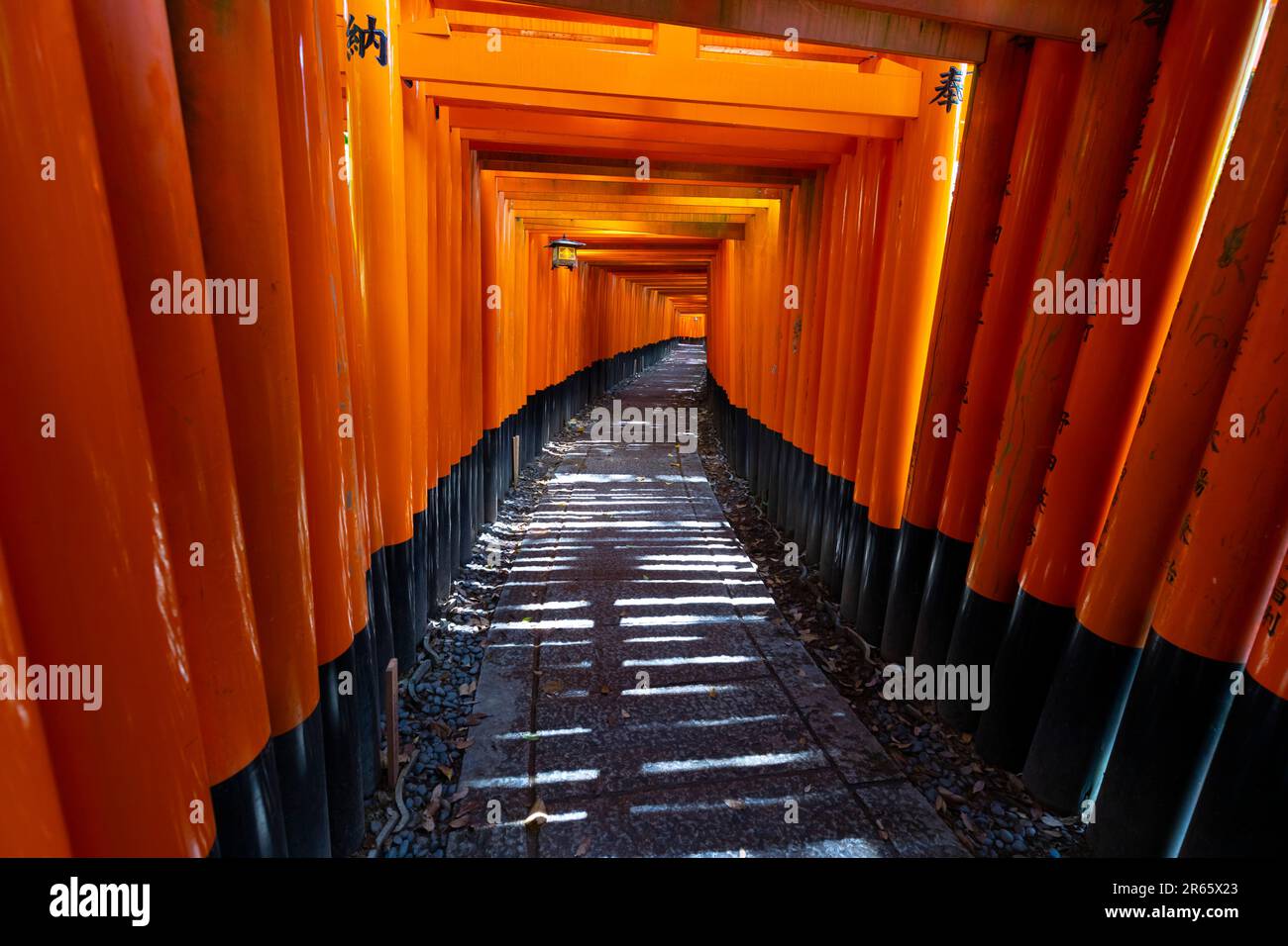 Thousand Torii corridor of Fushimi Inari-Taisha Stock Photo - Alamy