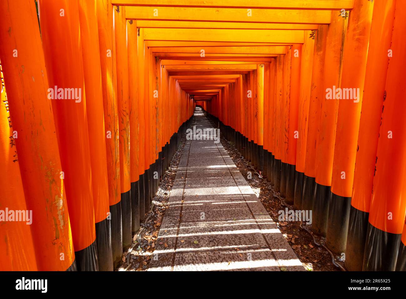Thousand Torii corridor of Fushimi Inari-Taisha Stock Photo - Alamy