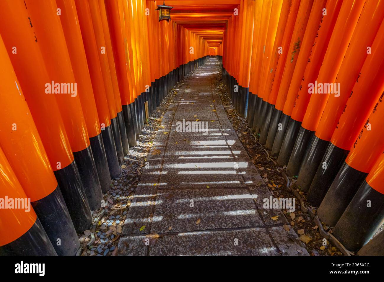 Thousand Torii corridor of Fushimi Inari-Taisha Stock Photo - Alamy