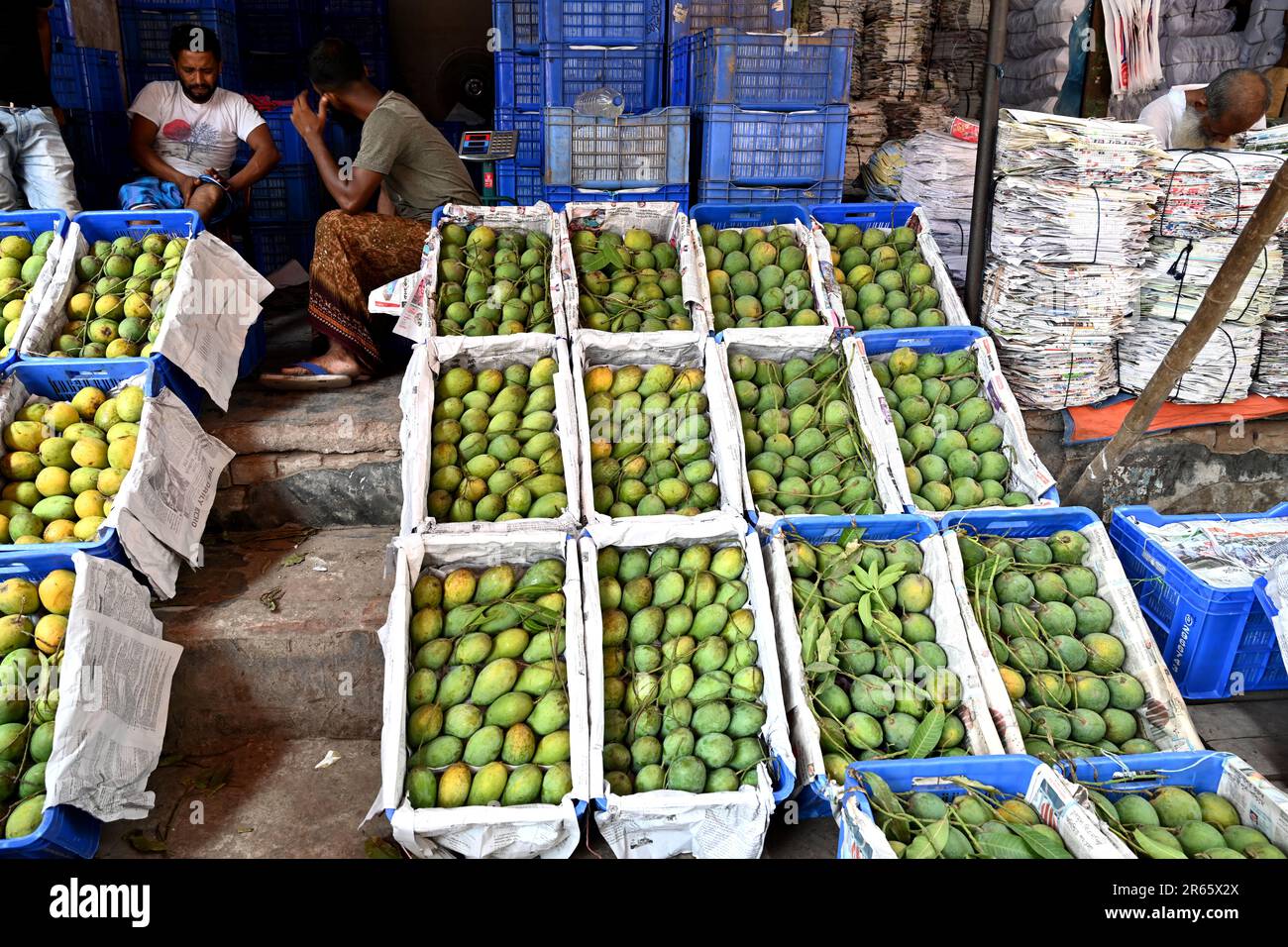 Dhaka, Bangladesh, on June 7, 2023 , Fruit traders displayed Mangos for sale at the wholesale ...