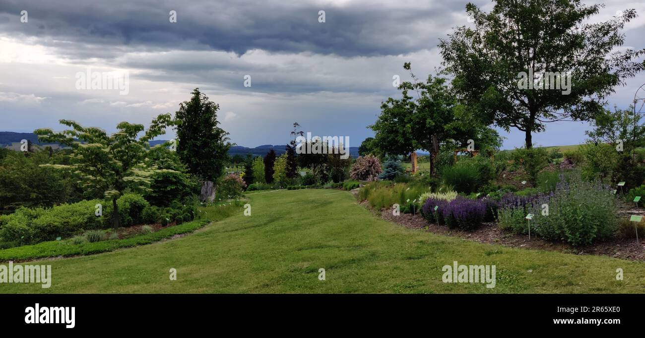 Lush greeneries hi-res stock photography and images - Alamy
