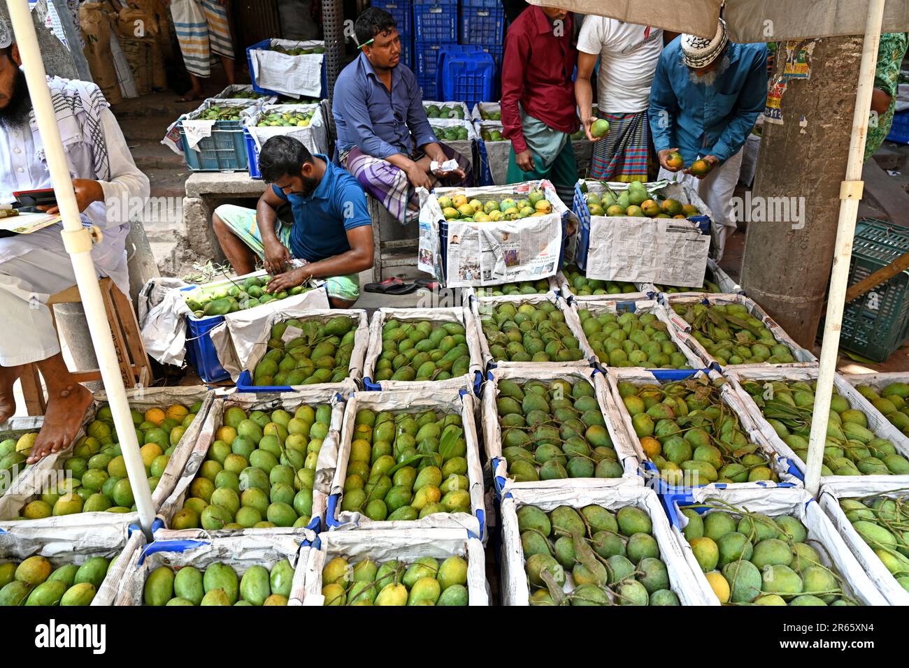 Fruit traders displayed Mangos for sale at the wholesale mango market ...