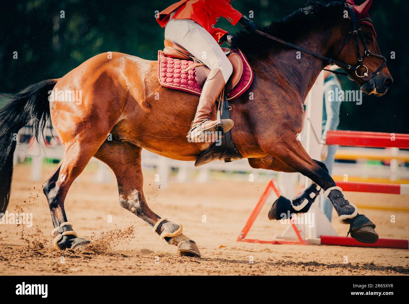A bay horse is galloping rapidly across a sandy arena with a rider in ...