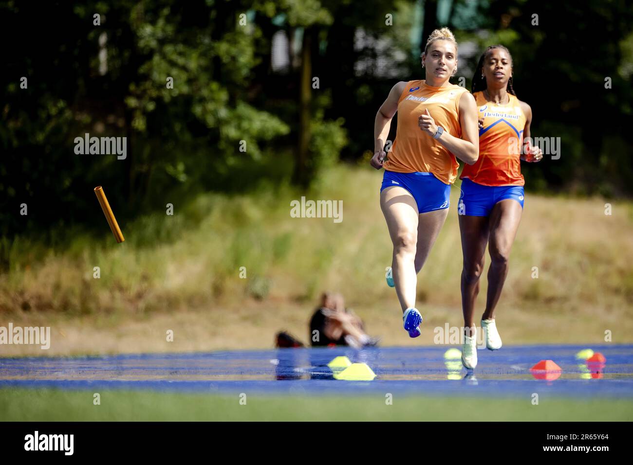 Minke bisschops hi-res stock photography and images - Alamy