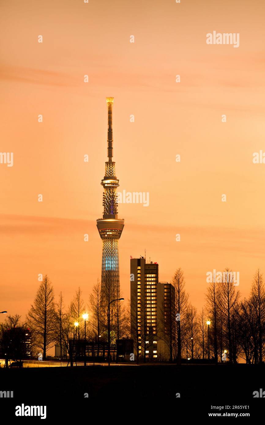 Tokyo sky tree at sunset Stock Photo - Alamy