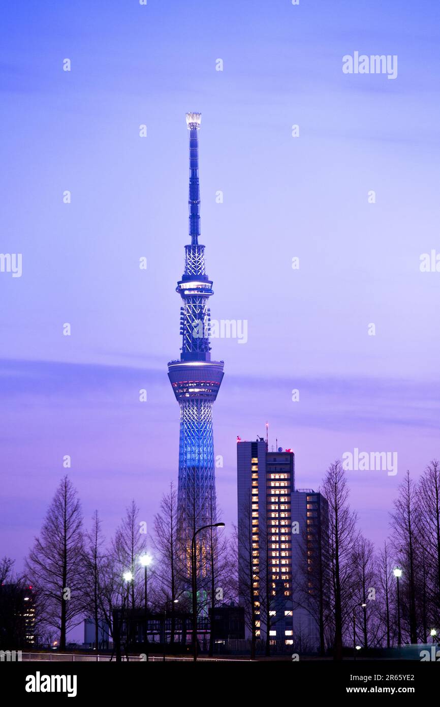 Sky Tree at sunset Stock Photo - Alamy