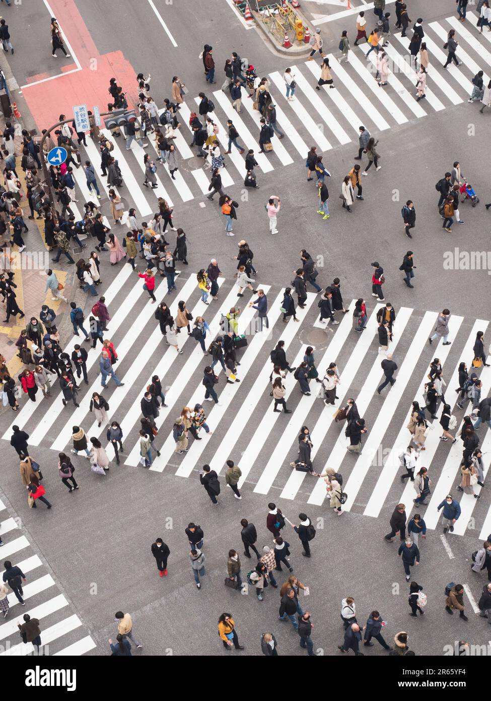 Shibuya scramble crossing Stock Photo - Alamy