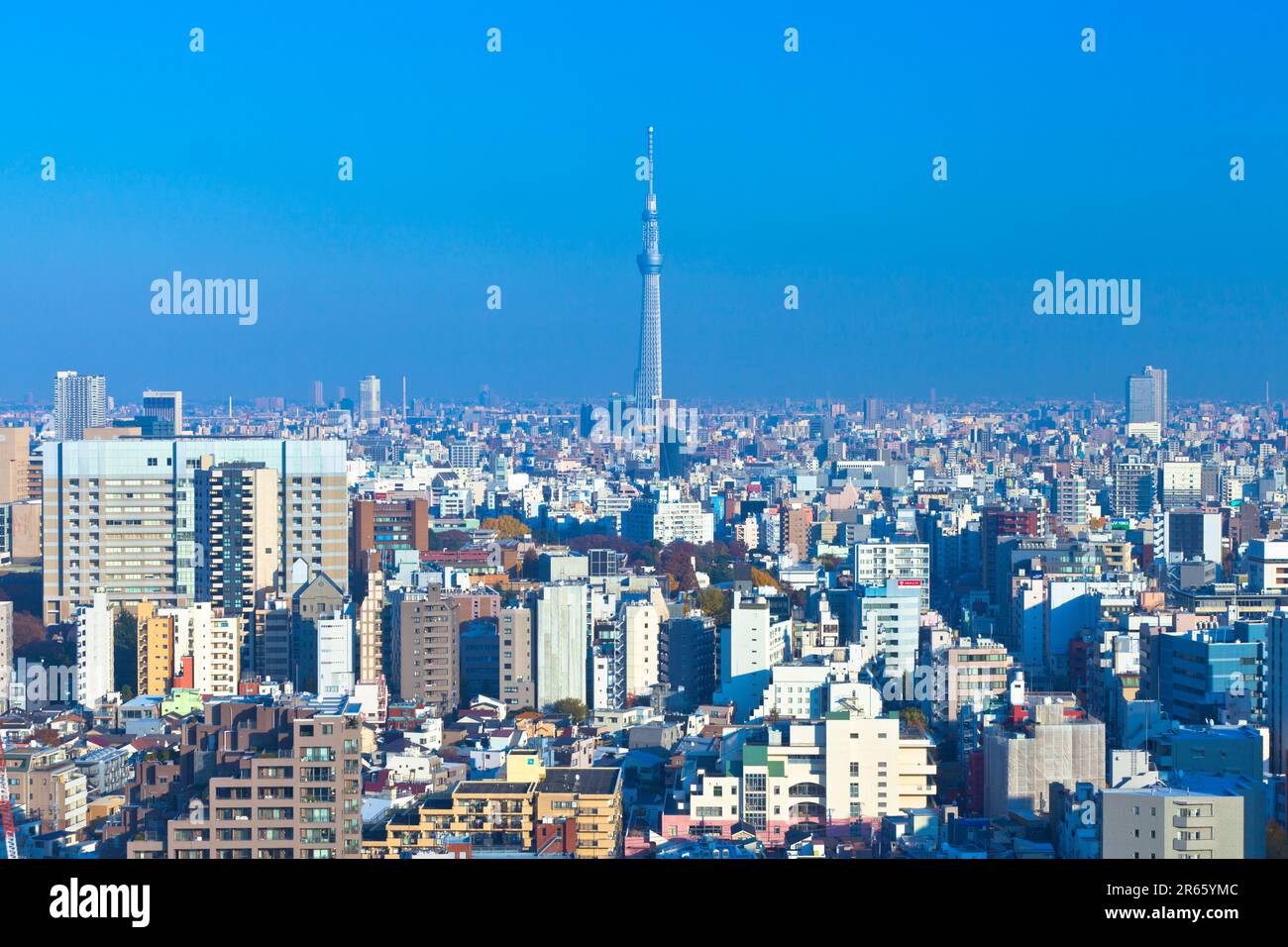 Tokyo Sky Tree and town Stock Photo - Alamy