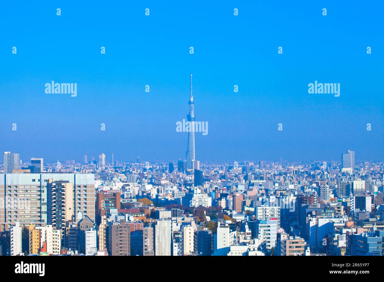 Tokyo Sky Tree and town Stock Photo - Alamy