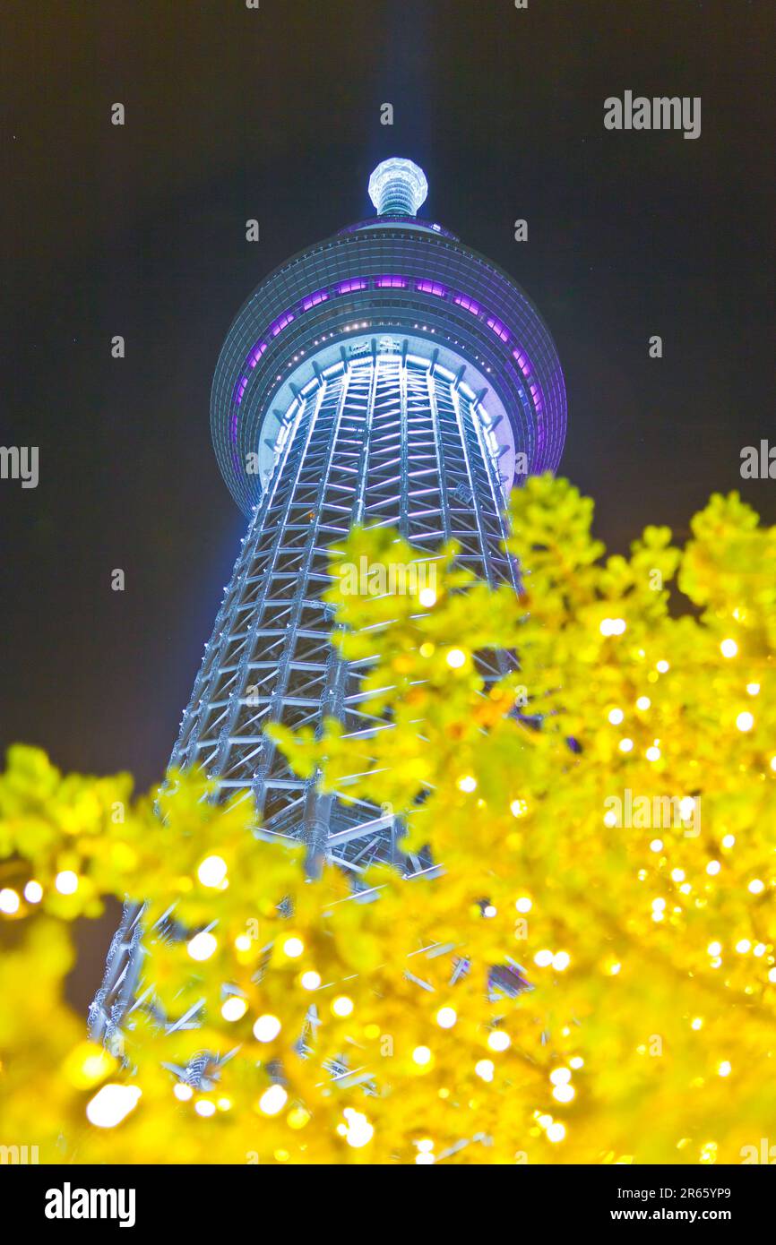 Tokyo Sky Tree at night Stock Photo - Alamy