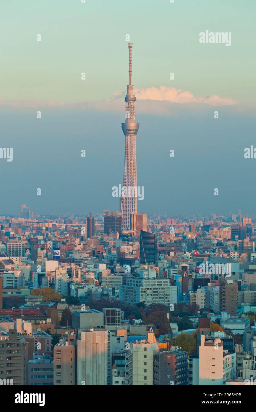 Tokyo Sky Tree and town Stock Photo - Alamy