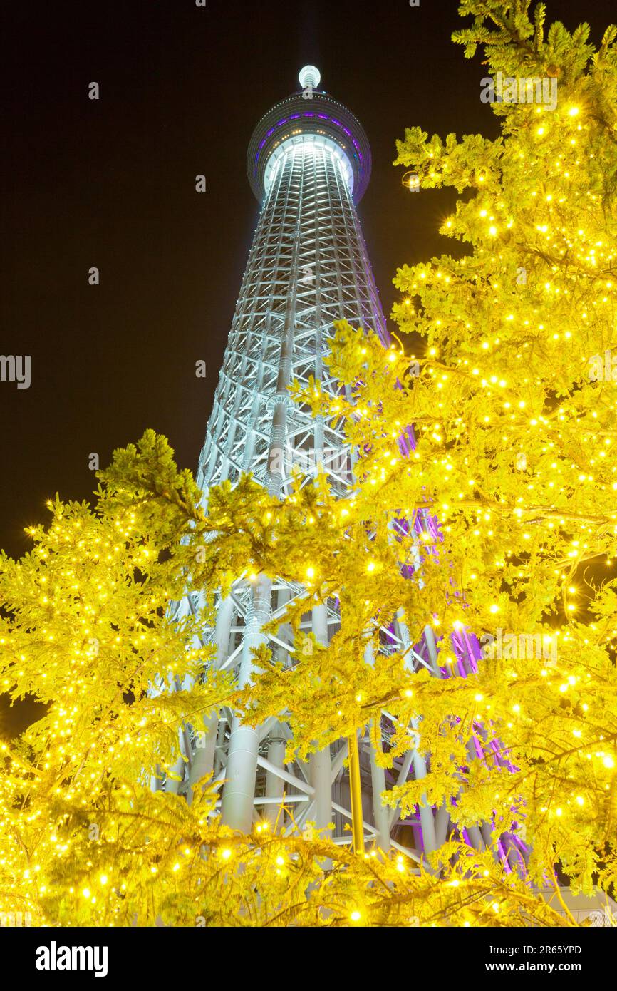 Realistic night city view hi-res stock photography and images - Alamy
