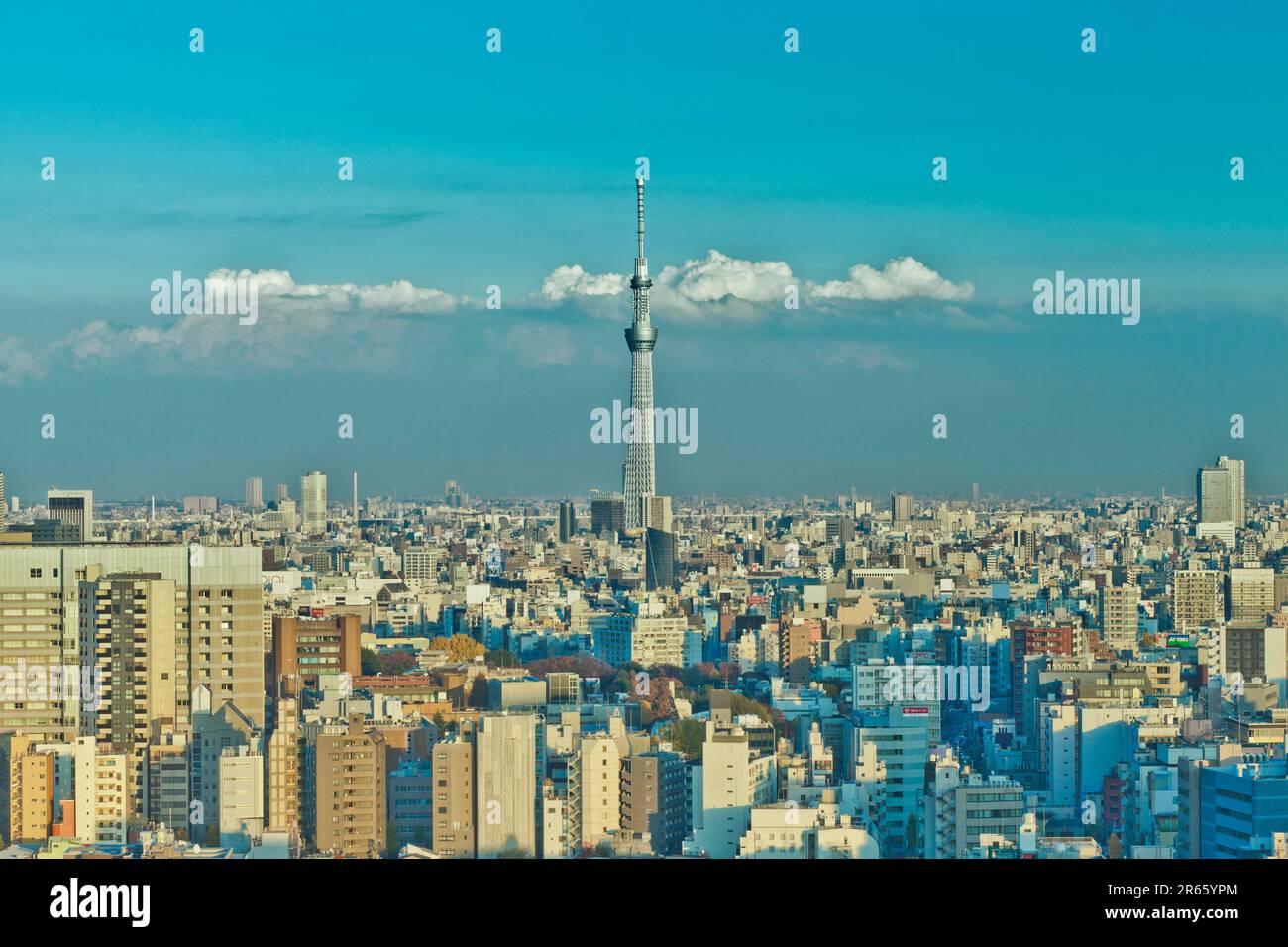 Tokyo Sky Tree and town Stock Photo - Alamy