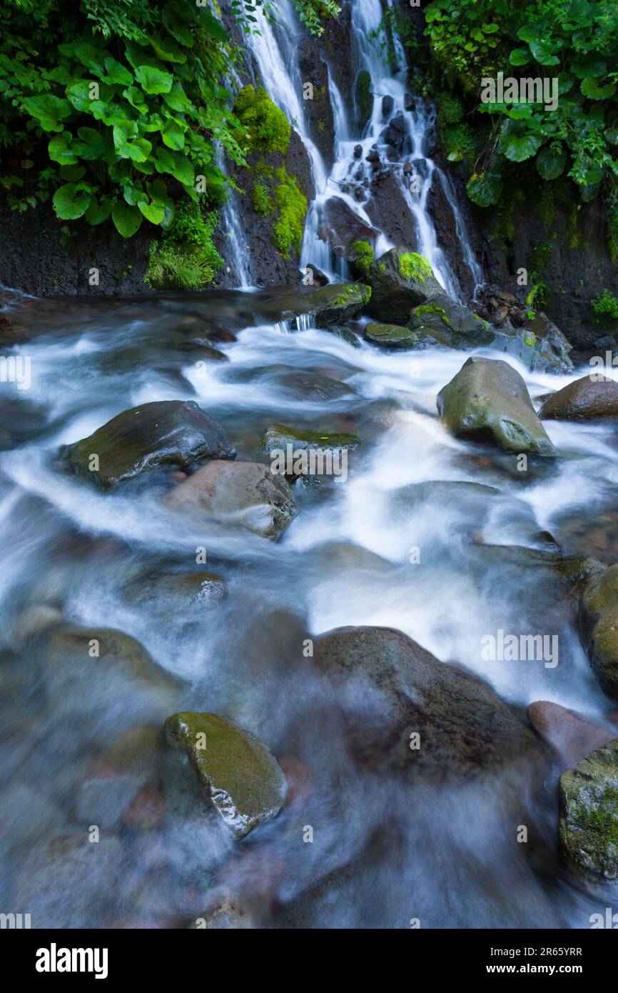 Doryu waterfall and the stream Stock Photo - Alamy