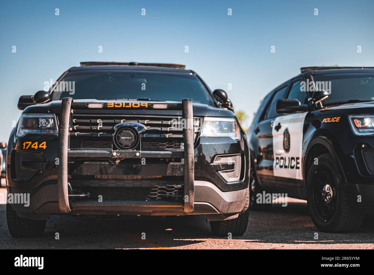 The Front grill and side profile of Ford Police Cruisers, A Clear blue ...