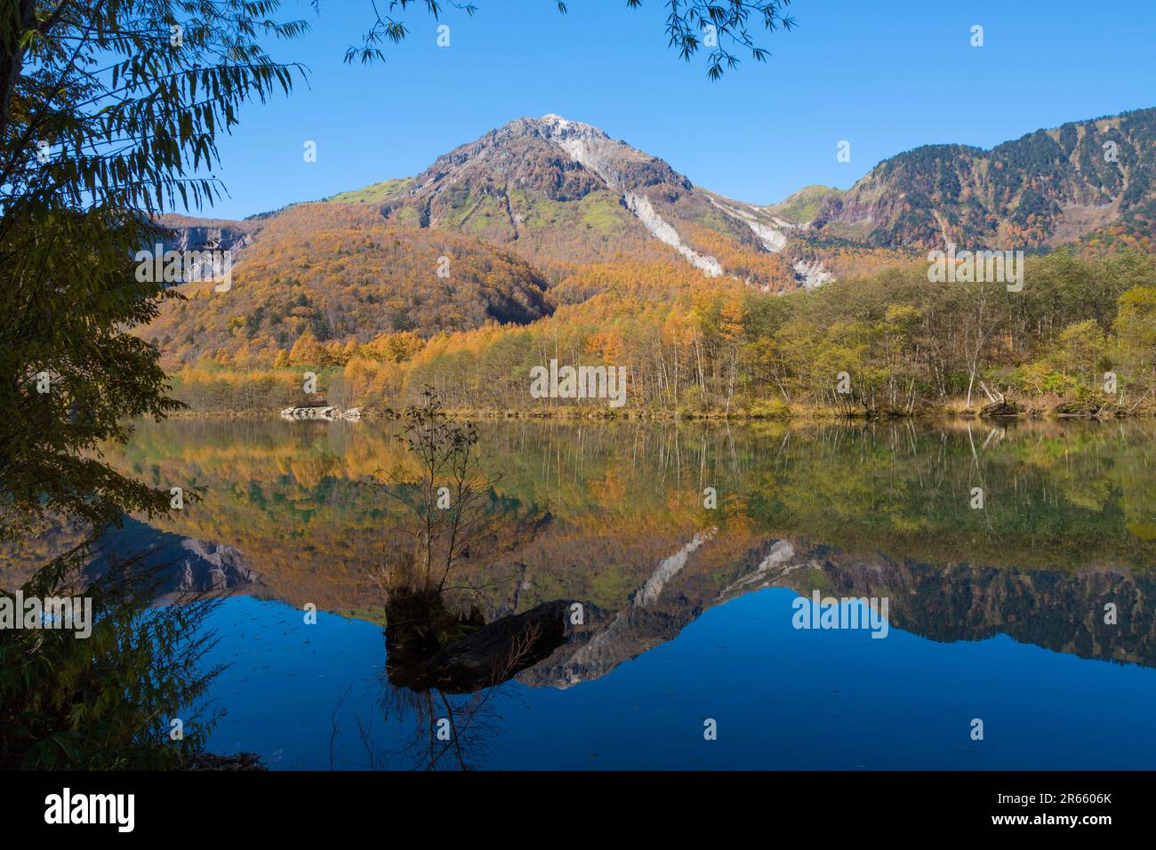 Dawn at Taisho Pond Stock Photo - Alamy