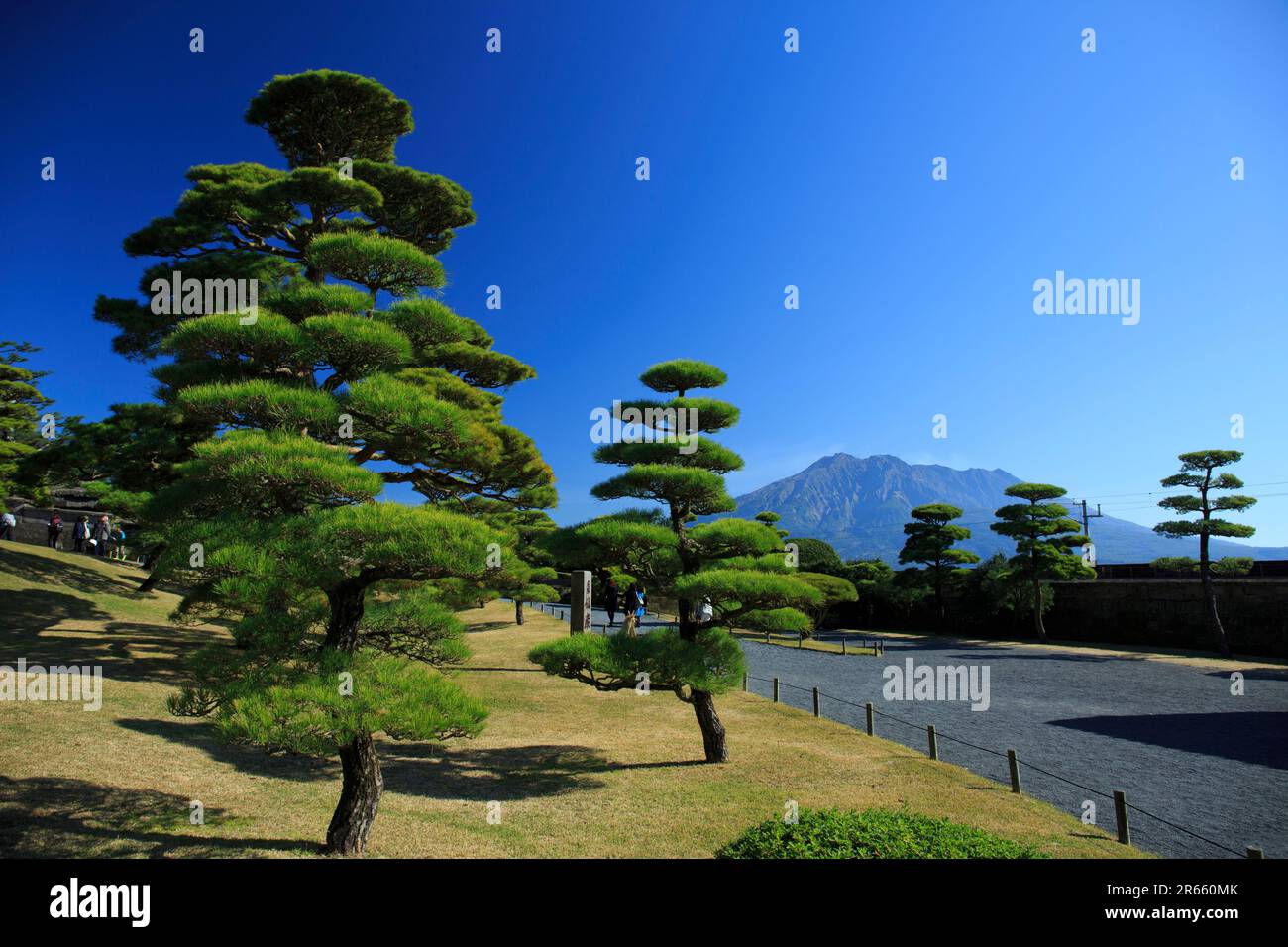 Iso garden hi-res stock photography and images - Alamy