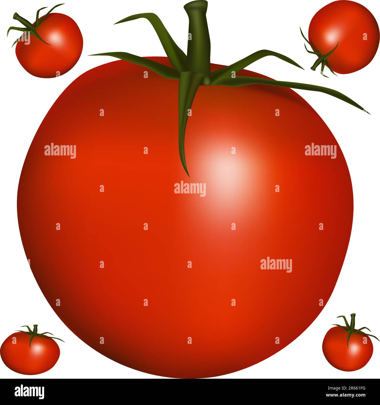An image of a realistic tomato Stock Vector Image & Art - Alamy