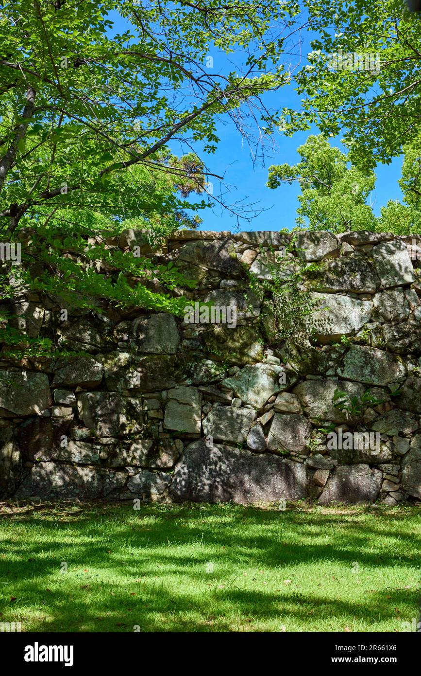 Summer walls hi-res stock photography and images - Alamy