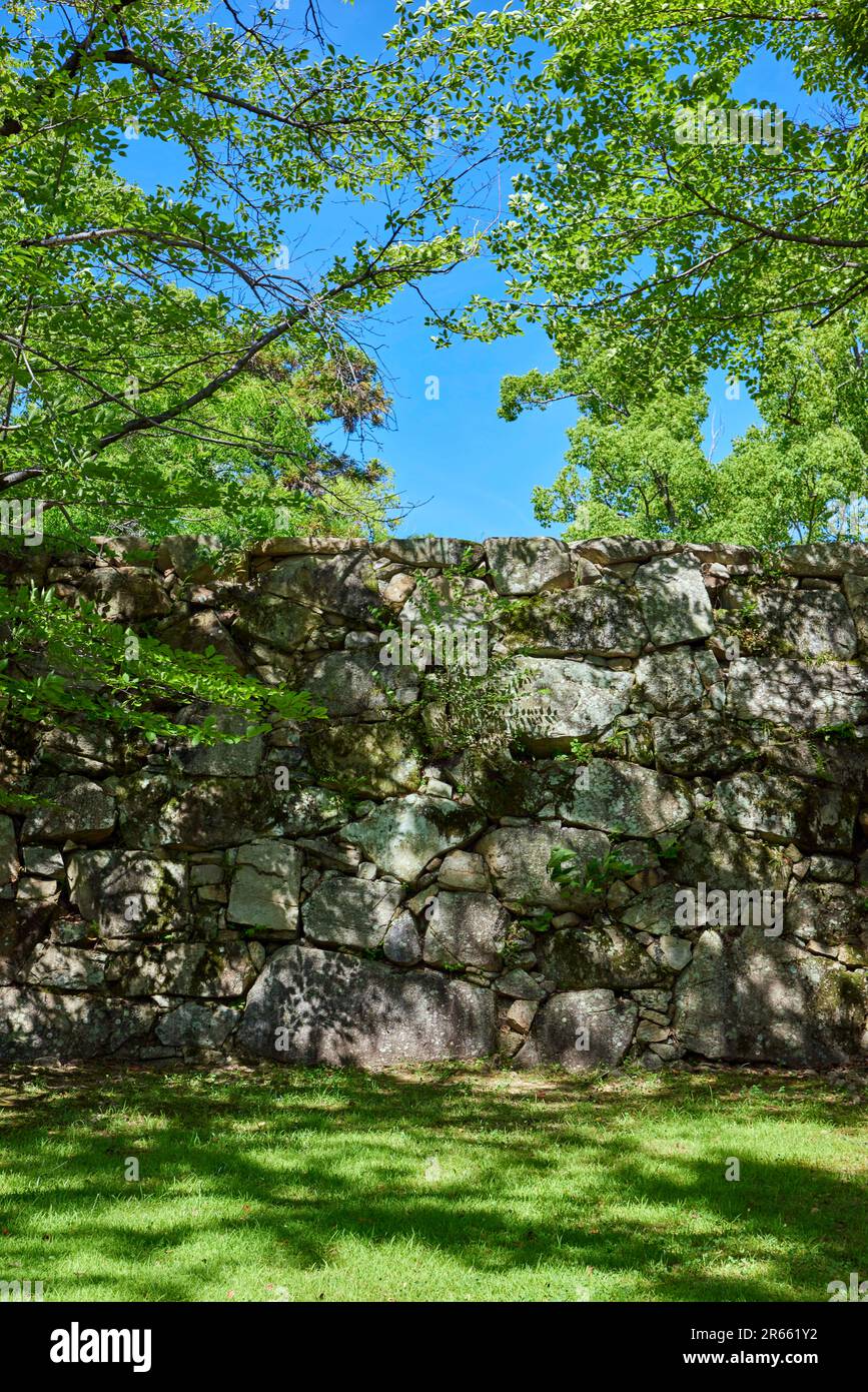 Stone Walls of Hiroshima Castle in Summer Stock Photo - Alamy