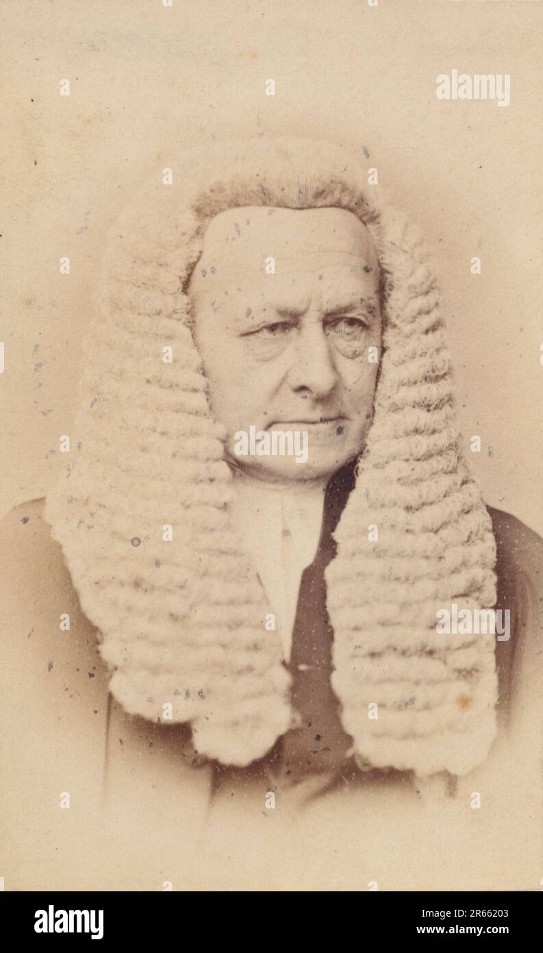 Carte de Visite: Sir Fitzroy Edward Kelly by John & Charles Watkins c ...