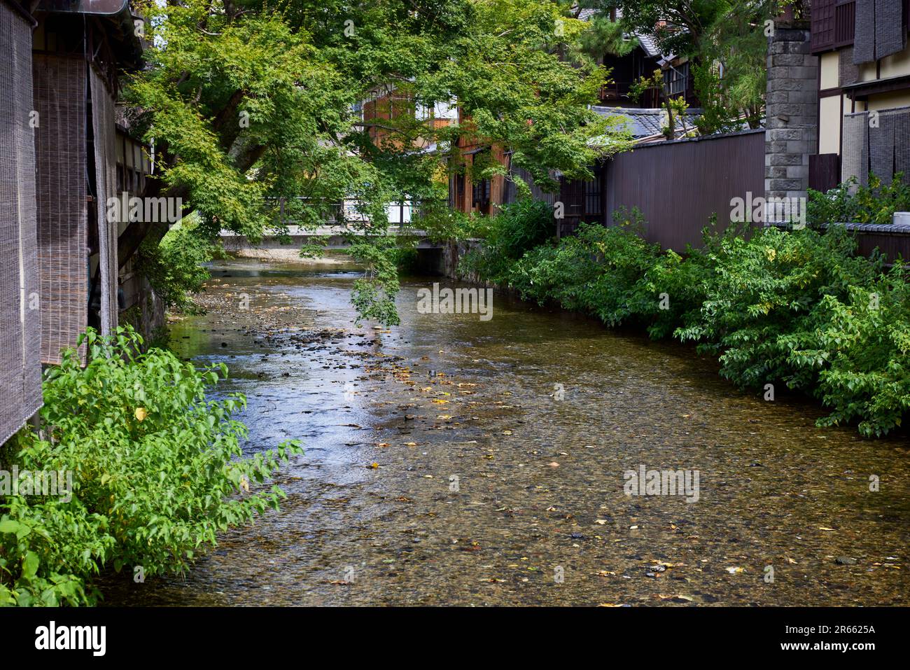 Gionshira-kawa River in Kyoto Stock Photo - Alamy