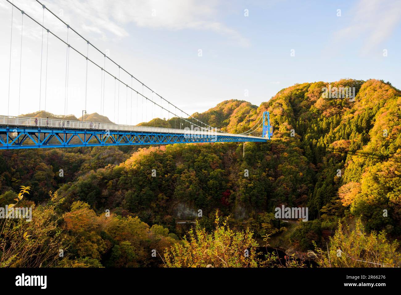 Autumn leaves of Ryujin Suspension Bridge Stock Photo - Alamy