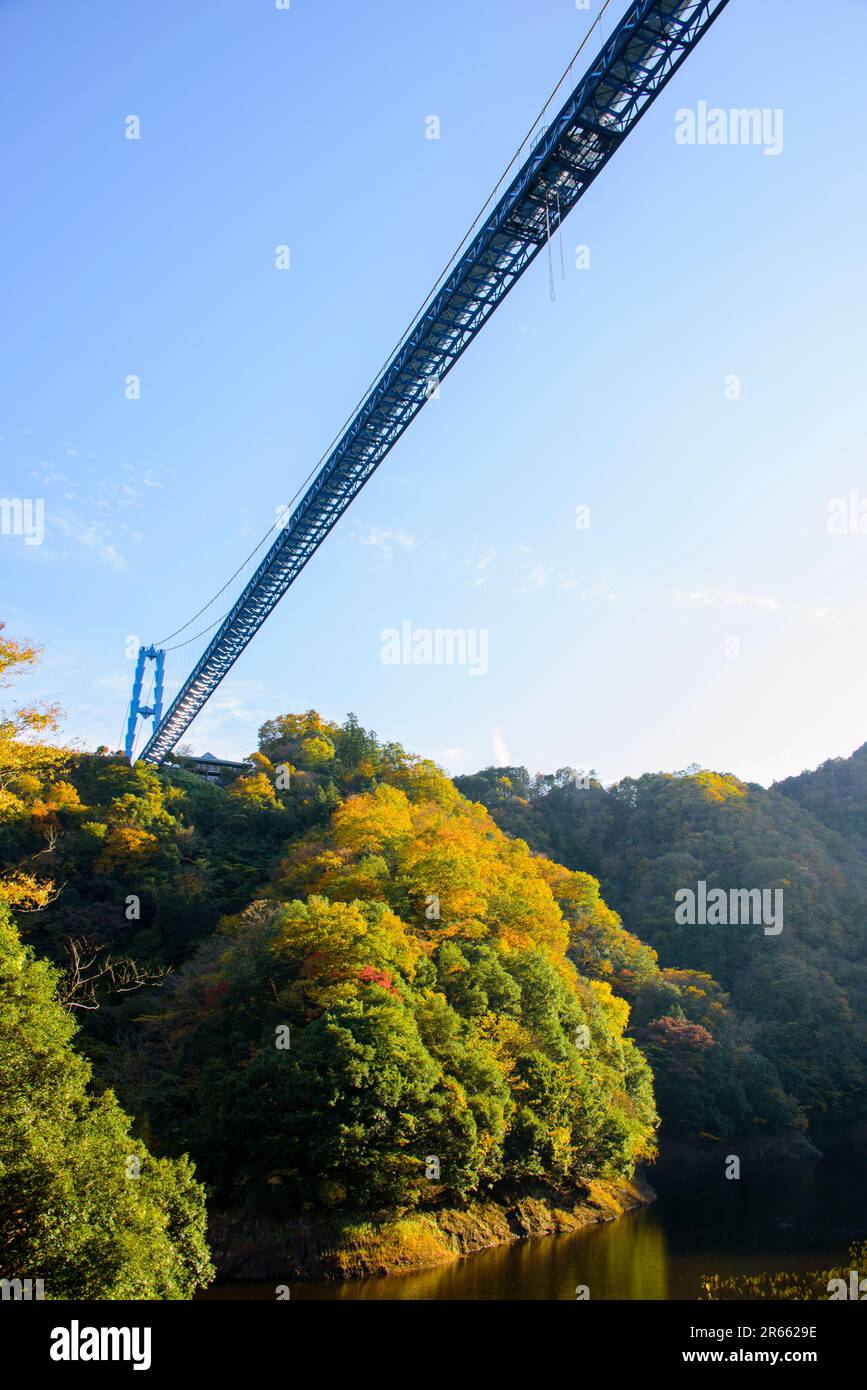 Autumn leaves of Ryujin Suspension Bridge Stock Photo - Alamy