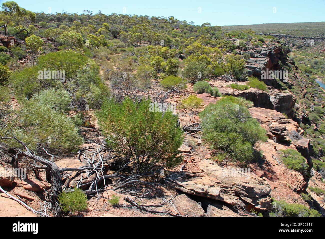 desert in kalbarri (australia Stock Photo - Alamy