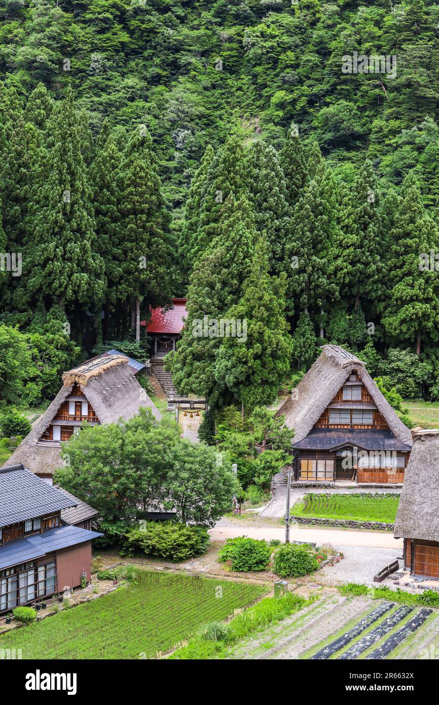 Gokayama Kan swamp village Stock Photo - Alamy