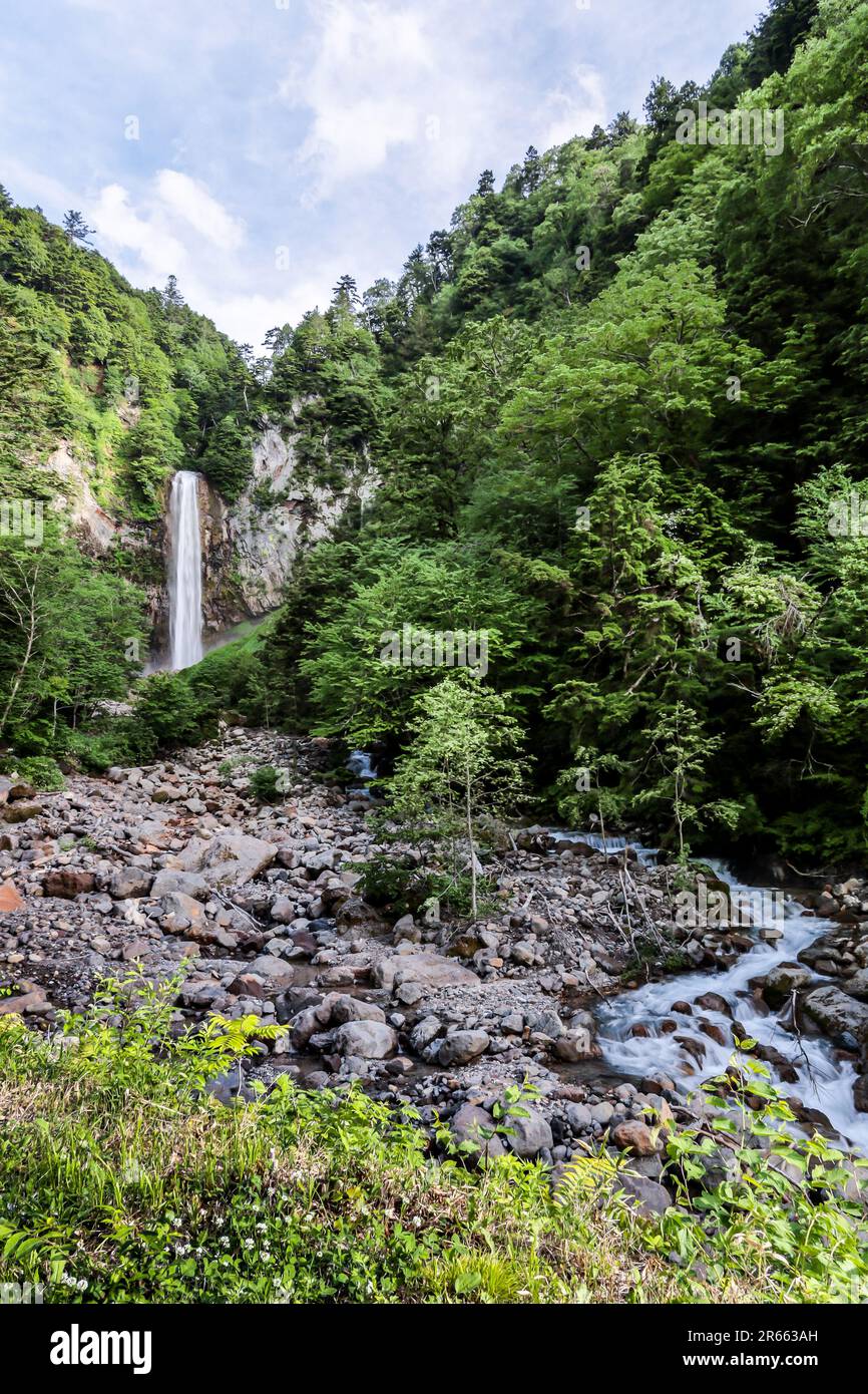 Hirayu otaki falls Stock Photo - Alamy