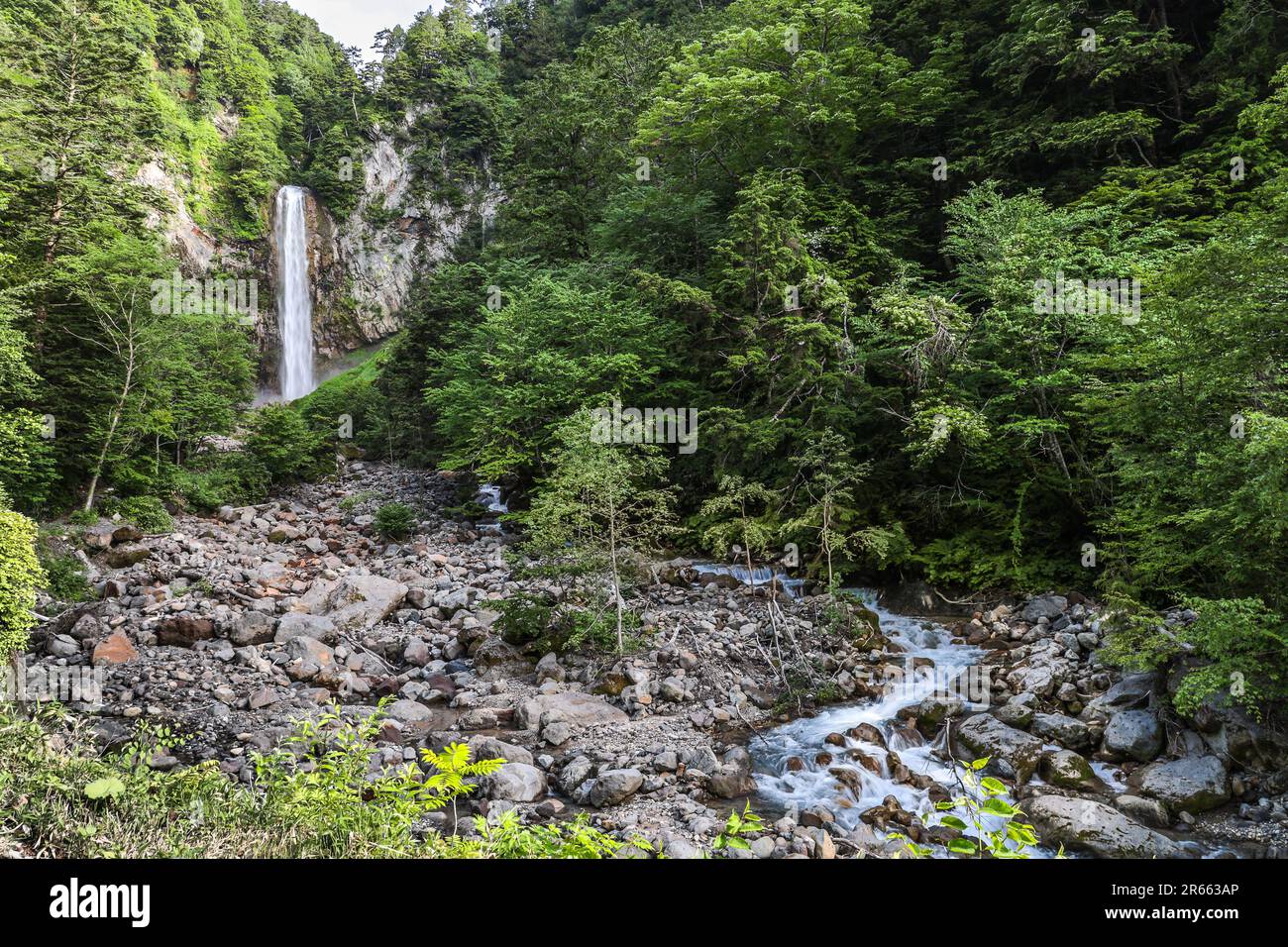 Hirayu otaki falls Stock Photo - Alamy