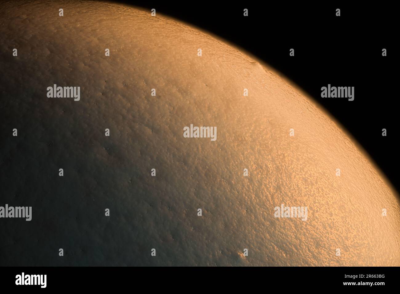 Very close up macro photography of a detailed high resolution egg ...