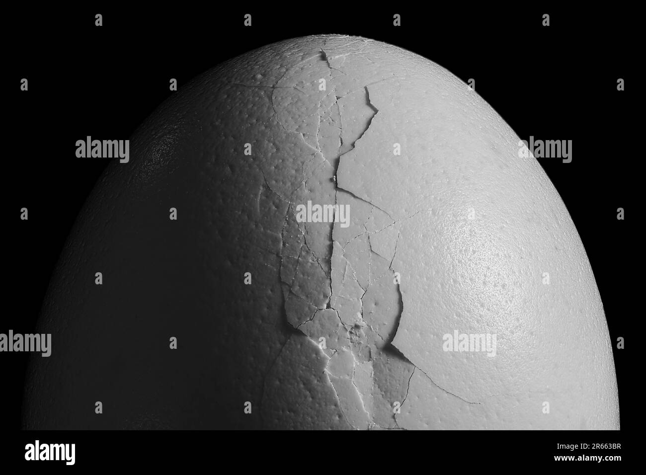 Very close up macro photography of a detailed high resolution egg ...