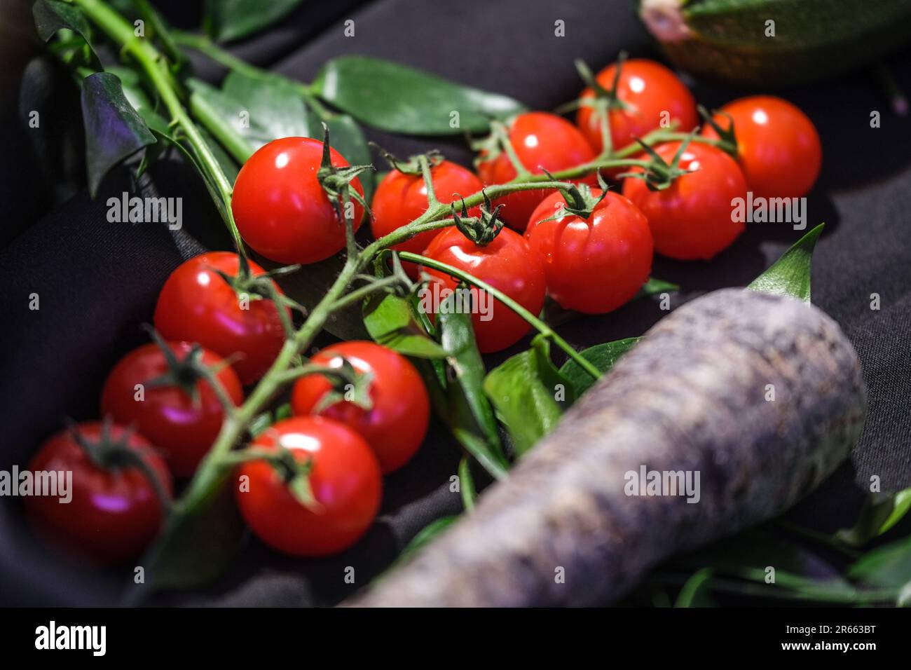 Tomatoes on vine display Stock Photo - Alamy