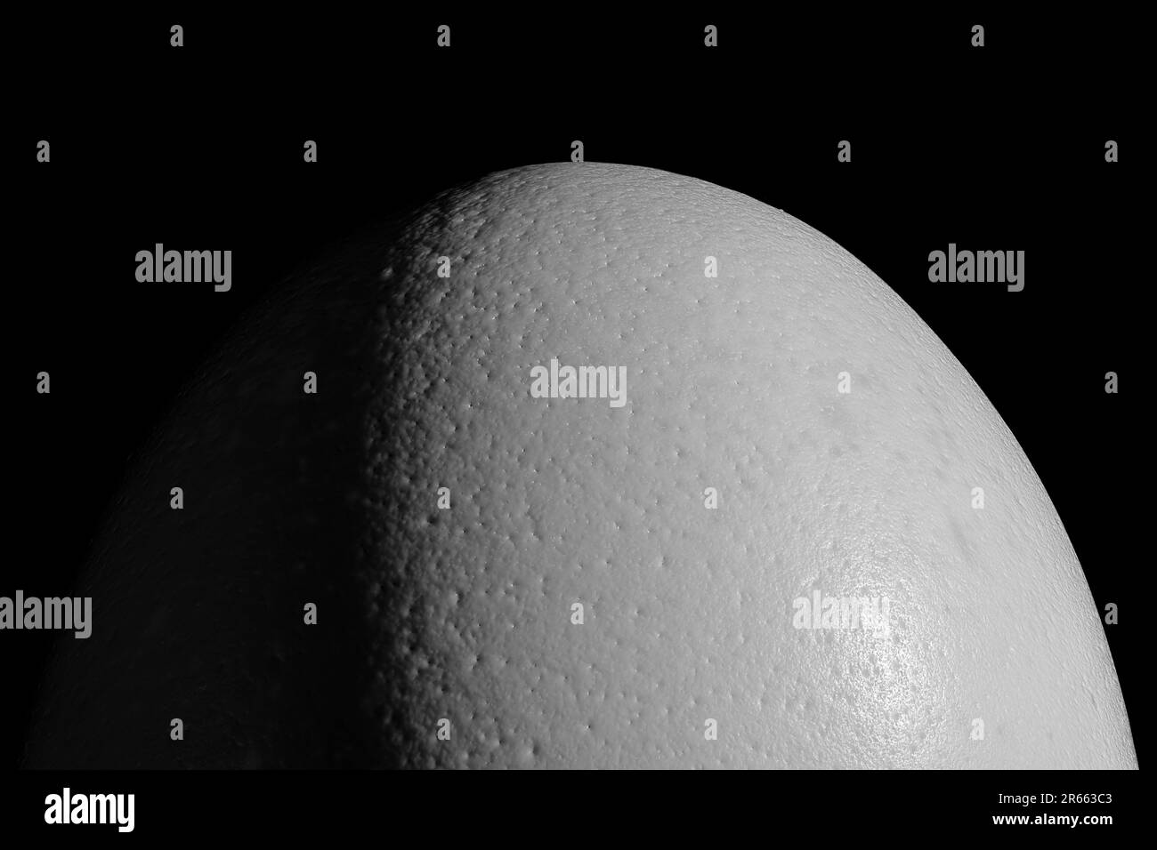 Very close up macro photography of a detailed high resolution egg ...