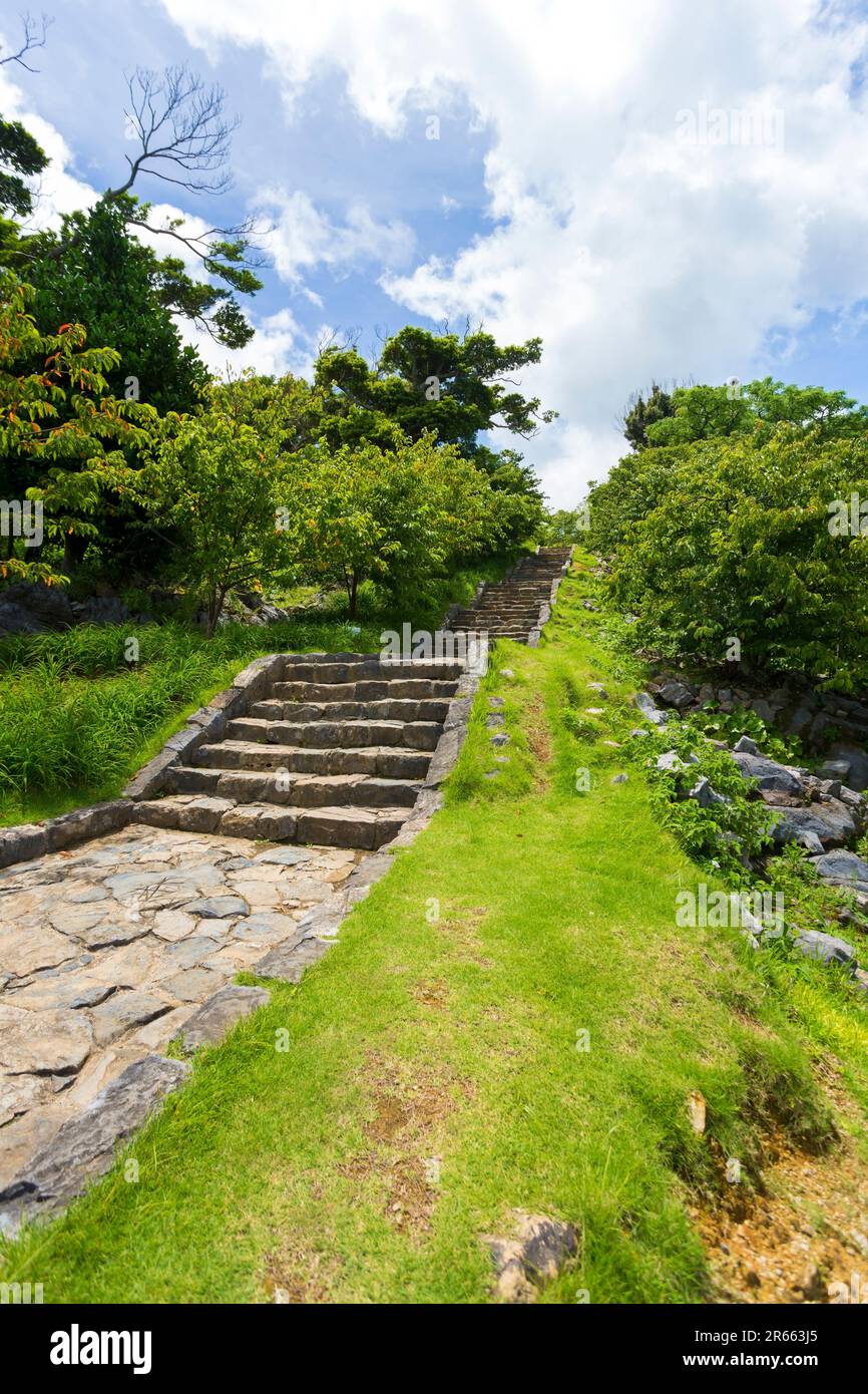 King stairs hi-res stock photography and images - Alamy