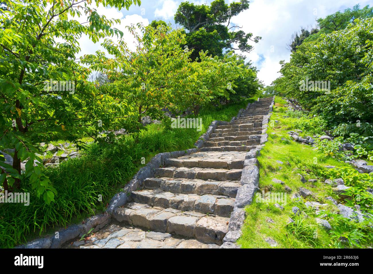King stairs hi-res stock photography and images - Alamy