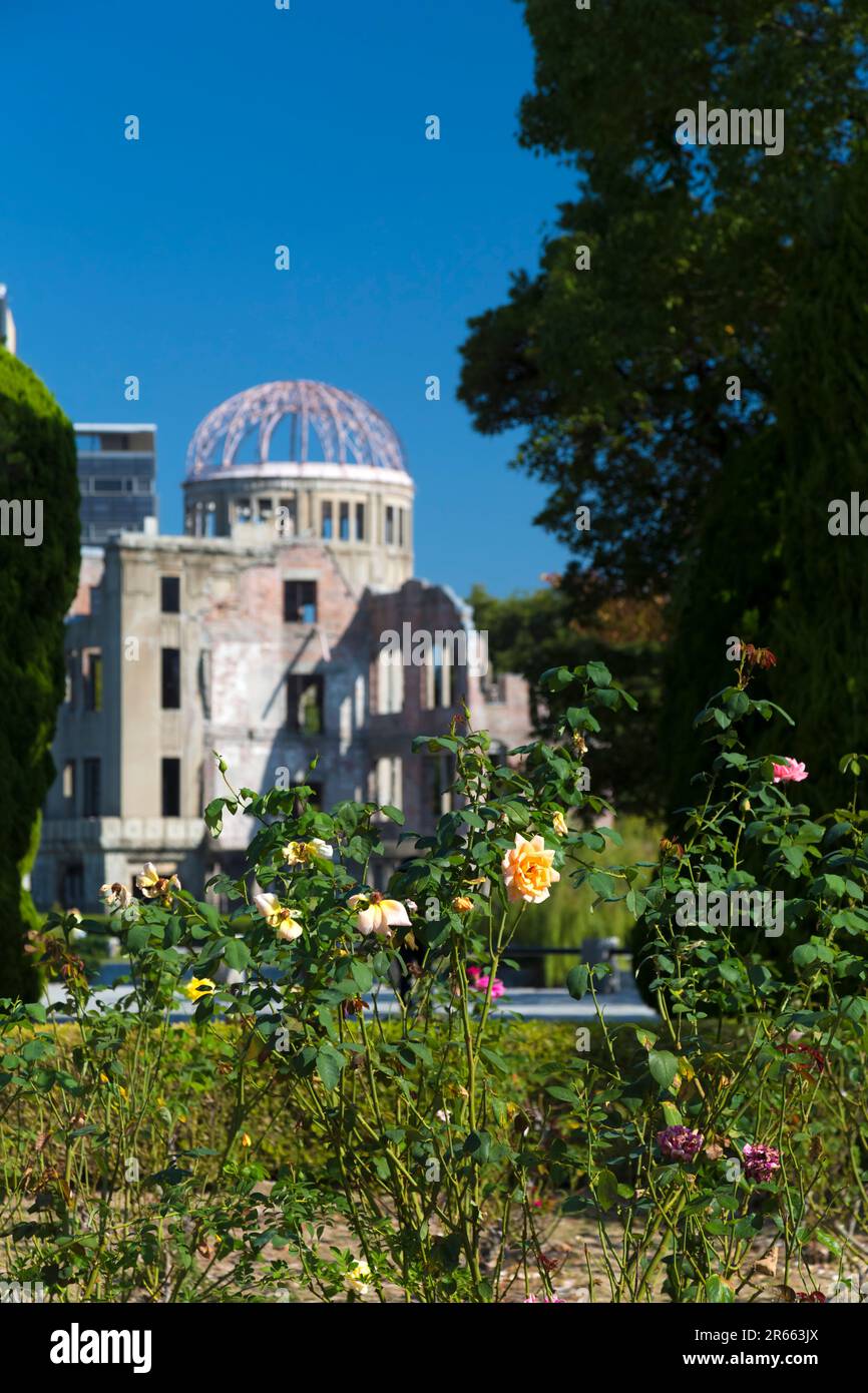 Dôme rose hi-res stock photography and images - Alamy