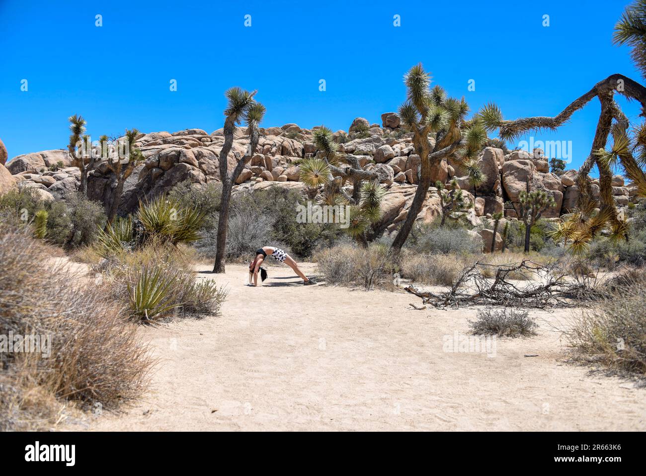Yoga poses in a national park hi-res stock photography and images - Alamy