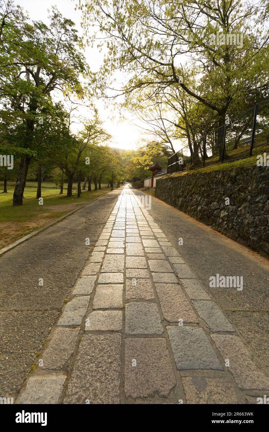 Japan stone pavement paving hi-res stock photography and images - Alamy