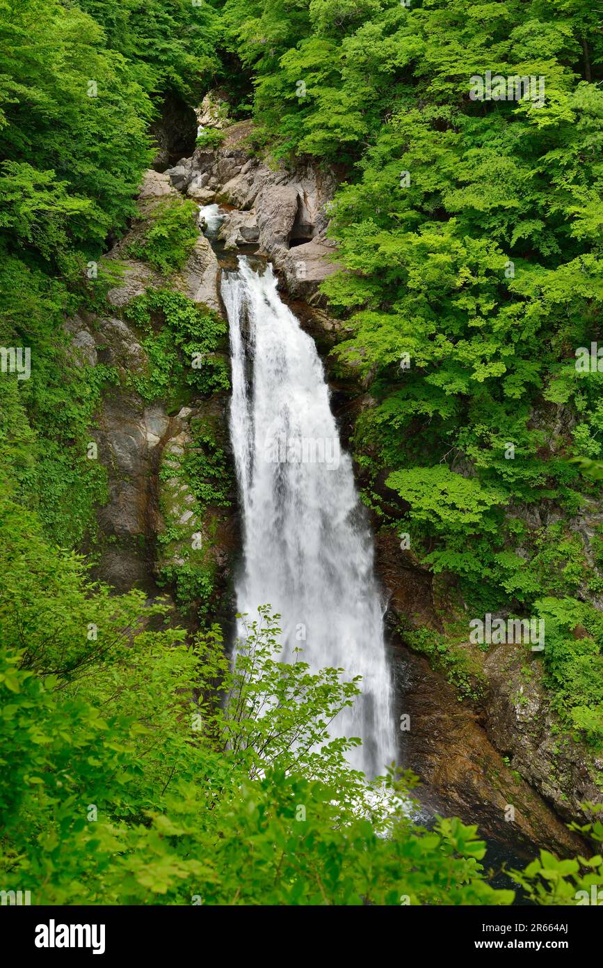 Akiu falls hi-res stock photography and images - Alamy